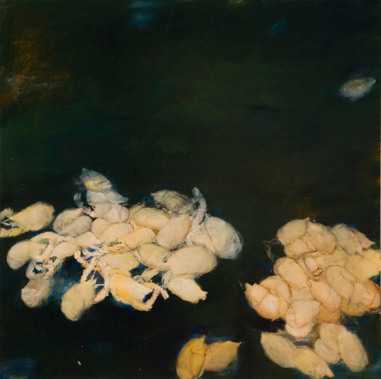 Lily Simonson – Yeti Crab