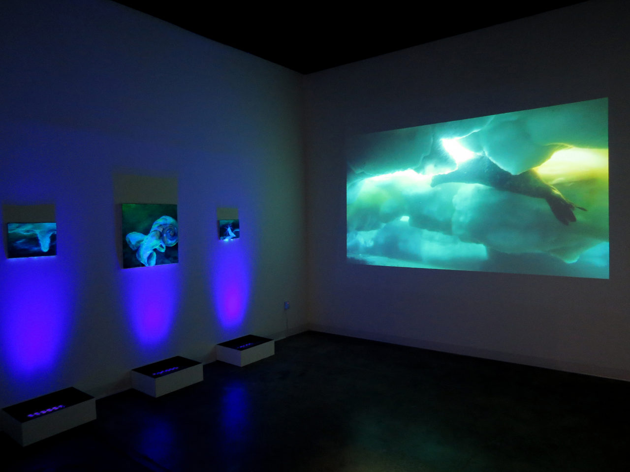 Lily Simonson – Midnight Sun