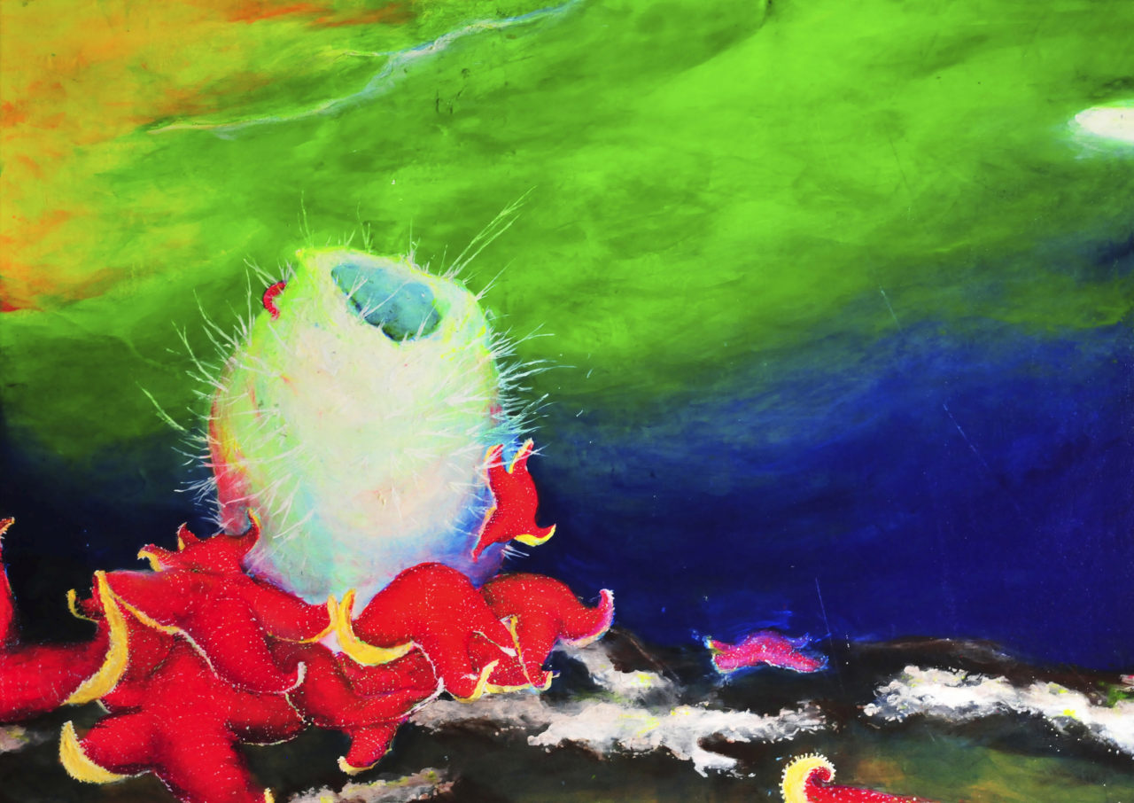 Lily Simonson – Expeditions 2015-17